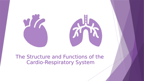 The Cardio-Respiratory System - AQA GCSE PE | Teaching Resources