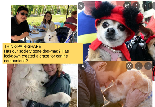 GCSE reading and writing tasks on Dog Ownership | Teaching Resources