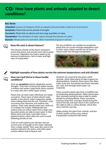 Desert adaptations, Plant and animal adaptations, Hot deserts, Desert ...
