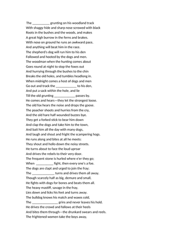 Animal Poetry - The Badger | Teaching Resources