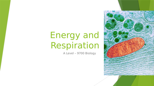 Power Point Presentation about "Energy and Respiration" | Teaching ...