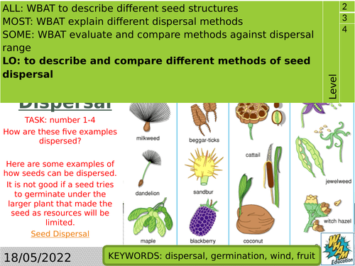KS3 Science, Ecosystems: Interdependence and Plant Reproduction ...