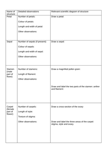 KS3 Science, Ecosystems: Interdependence and Plant Reproduction ...