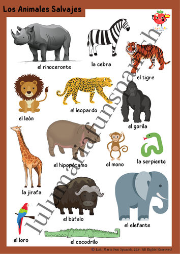 Spanish Jungle Animals Package for KS2 | Teaching Resources