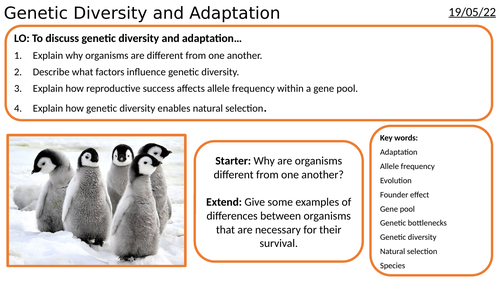 AS/A2-Level AQA Biology Genetic Diversity and Adaptation Full Lesson ...