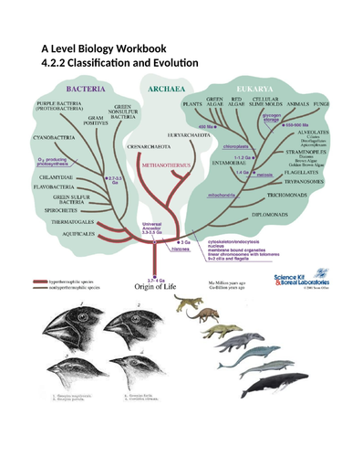 OCR A-Level Biology Mastery booklets x5 | Teaching Resources