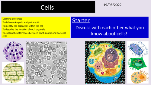 Cell Structure Lesson Sequence | Teaching Resources