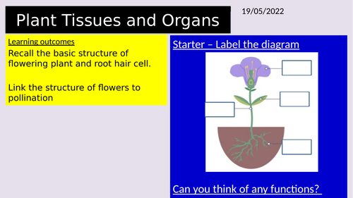 Plant structure and reproduction unit | Teaching Resources