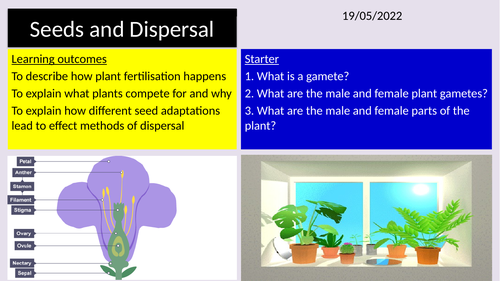 Plant structure and reproduction unit | Teaching Resources