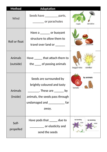 Plant structure and reproduction unit | Teaching Resources