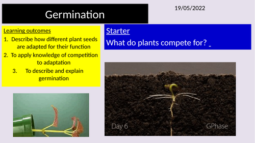 Plant structure and reproduction unit | Teaching Resources