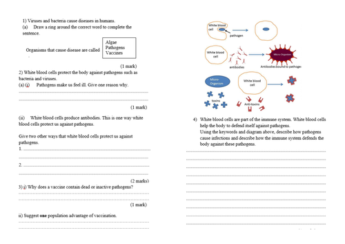 Immunity lesson sequence | Teaching Resources