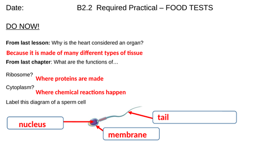 FOOD TESTS GCSE AQA BIOLOGY | Teaching Resources