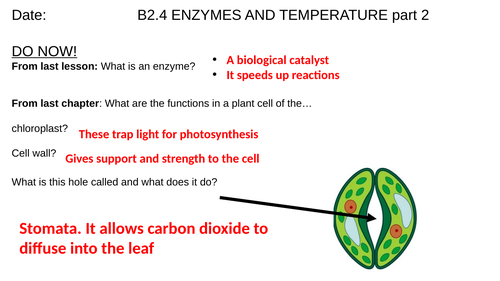 ENZYMES - GCSE BIOLOGY AQA | Teaching Resources
