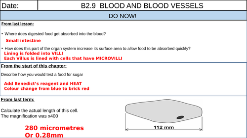 HEART & BLOOD - GCSE AQA BIOLOGY | Teaching Resources
