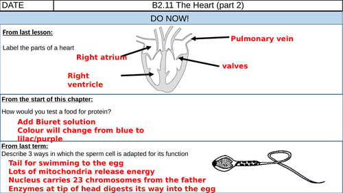 HEART & BLOOD - GCSE AQA BIOLOGY | Teaching Resources
