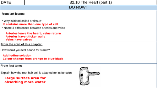 HEART & BLOOD - GCSE AQA BIOLOGY | Teaching Resources