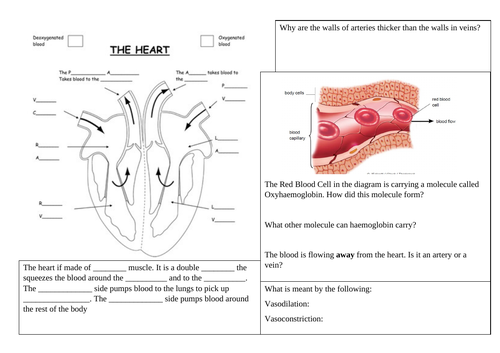 The Heart Revision MATs | Teaching Resources