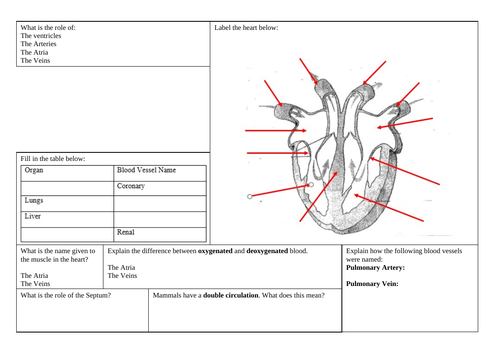 The Heart Revision MATs | Teaching Resources