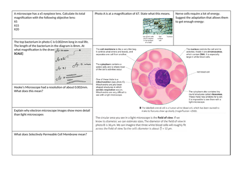 Cells Revision Mats (suitable for DA and TA) | Teaching Resources