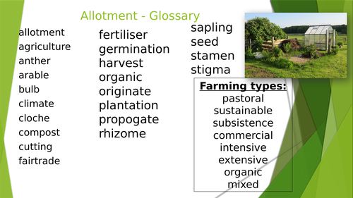 Allotment glossary words | Teaching Resources