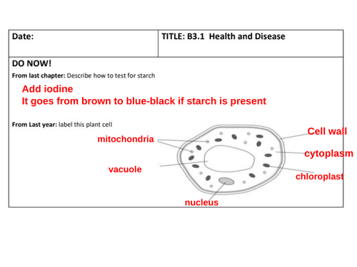 B3 health and disease AQA GCSE BIOLOGY | Teaching Resources