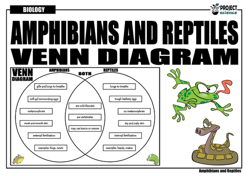 Amphibians and Reptiles Venn Diagram | Teaching Resources
