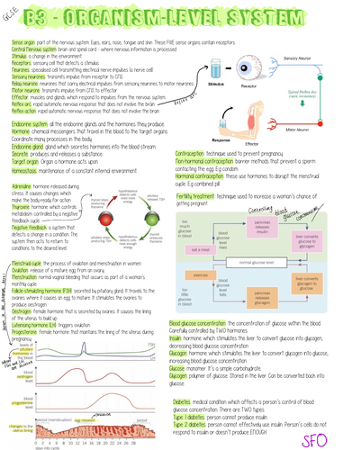 OCR Combined Science - B3 knowledge organiser | Teaching Resources