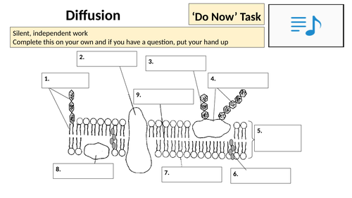 OCR A-Level Biology Plasma Membranes | Teaching Resources