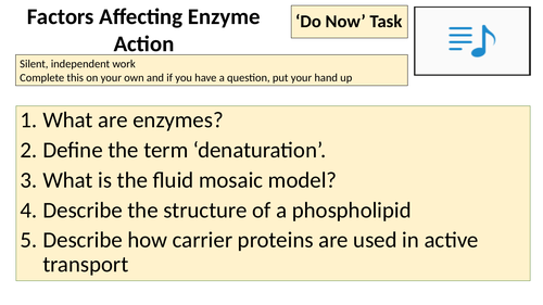 OCR A-Level Biology Enzymes | Teaching Resources