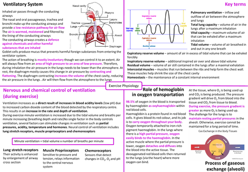 IB Sports, Health & Exercise Science - SL COMPLETE REVISION NOTES ...