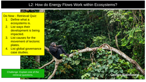 Ecosystem Energy Flows AQA | Teaching Resources