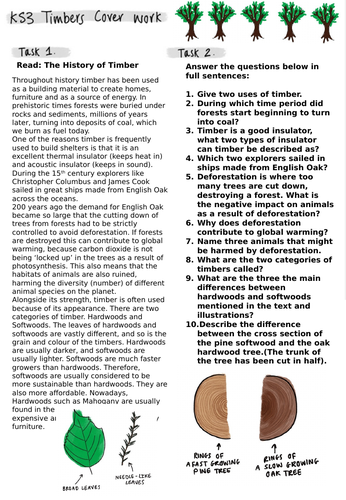 History of Timber & Impact of Deforestation Cover Work | Teaching Resources