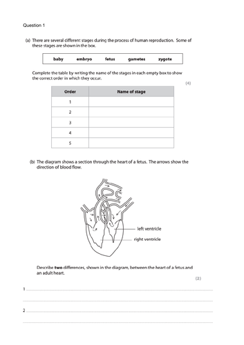 International IGCSE Biology 9-1 - Reproduction in humans chapter 9 ...