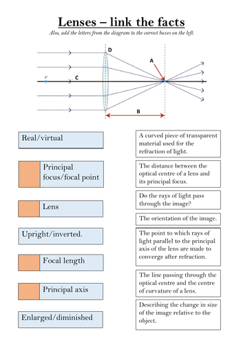 Lenses fact-link activity | Teaching Resources