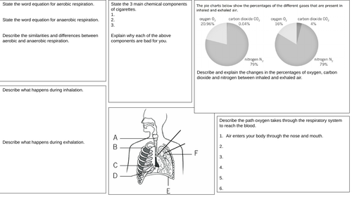 Breathing and Respiration Revision MAT with answers | Teaching Resources