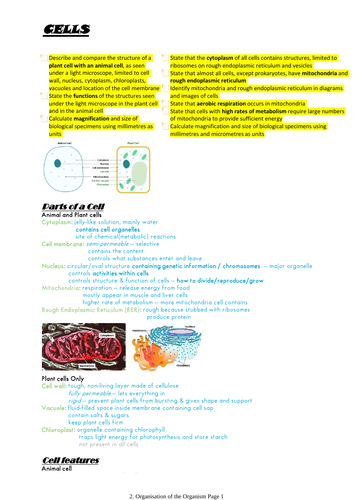 IGCSE Biology 0610 -- Organisation of organisms | Teaching Resources