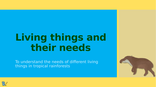 Rainforest - Living Things and their Needs Lesson KS2 | Teaching Resources