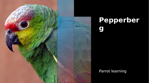 AICE IAS PSYCHOLOGY | Teaching Resources