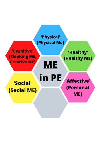 Me In PE Display | Teaching Resources