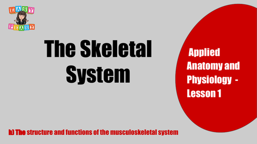 AQA - A&P - Skeletal system lesson 1 | Teaching Resources