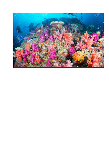 Flotsam | Teaching Resources