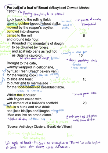 Portrait of a Loaf of Bread Annotated | Teaching Resources