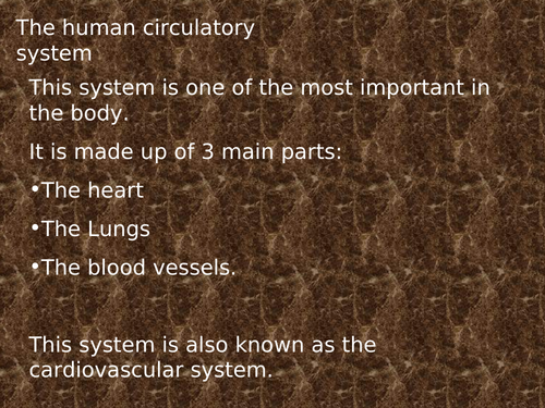 Healthy Eating Planning Powerpoints and Worksheets Physical Education ...
