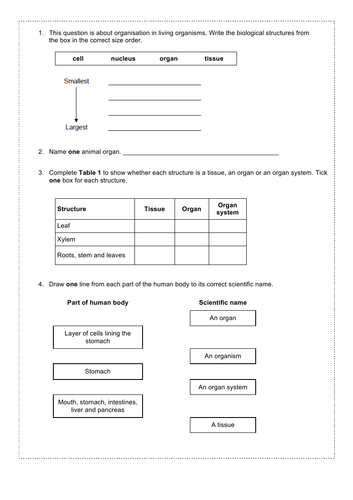 Science - Key Stage 3 - Levels of Organisation | Teaching Resources