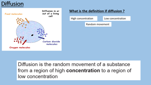 Capillary and Tissue Gas Exchange , KS4 | Teaching Resources