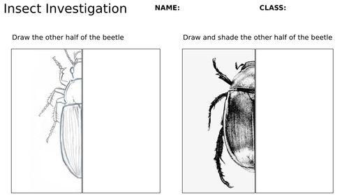Drawing Worksheets - Tone, Colour, Shape KS3/4 | Teaching Resources