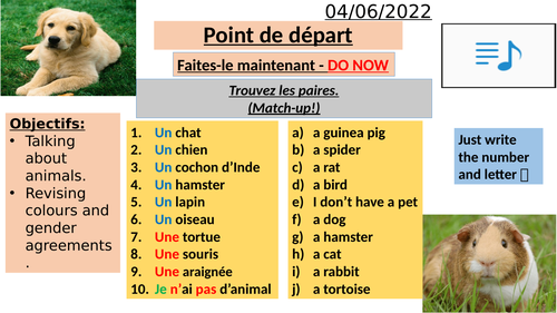 KS3 Les animaux - PPT and worksheet (with answers) | Teaching Resources