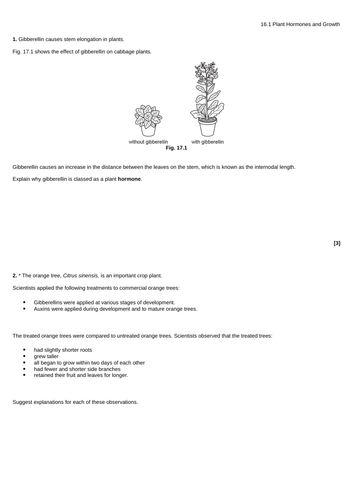 OCR Biology A- 16.1 Plant Hormones and Growth | Teaching Resources