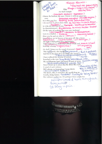 Sylvia Plath Annotations | Teaching Resources